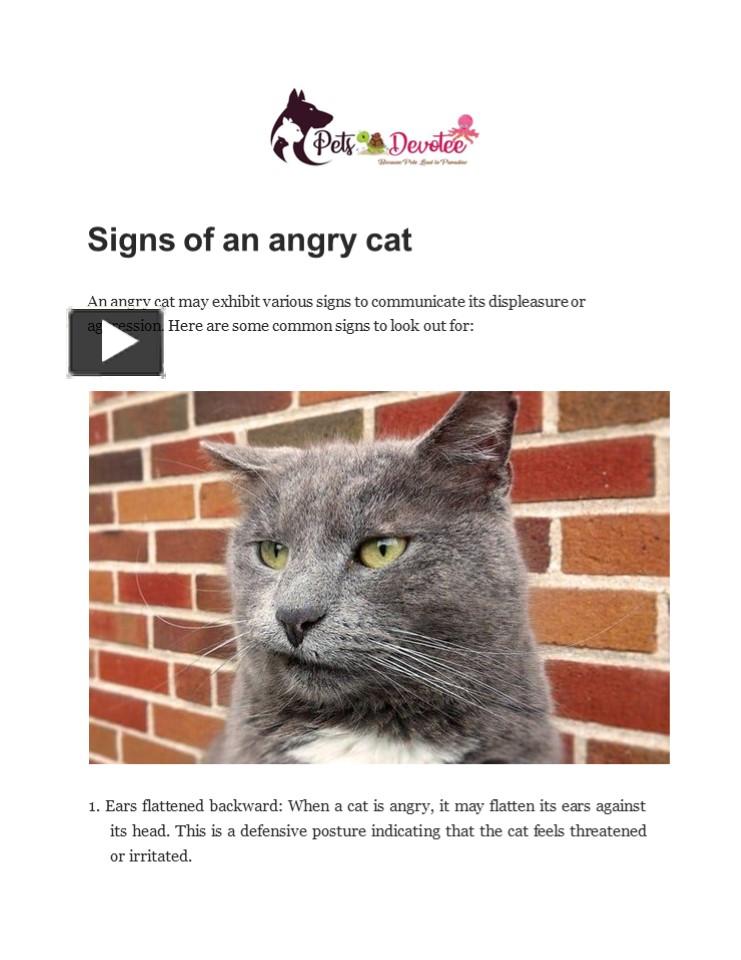 PPT – Signs of an angry cat PowerPoint presentation | free to download ...