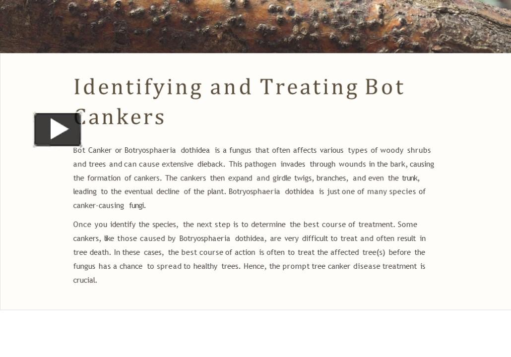 PPT – Ultimate Guide: Identifying and Treating Bot Cankers PowerPoint ...