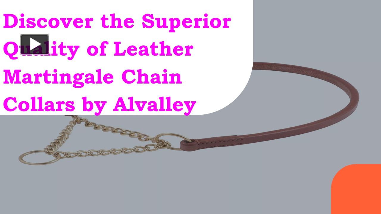 Discover the Superior Quality of Leather Martingale Chain Collars by ...
