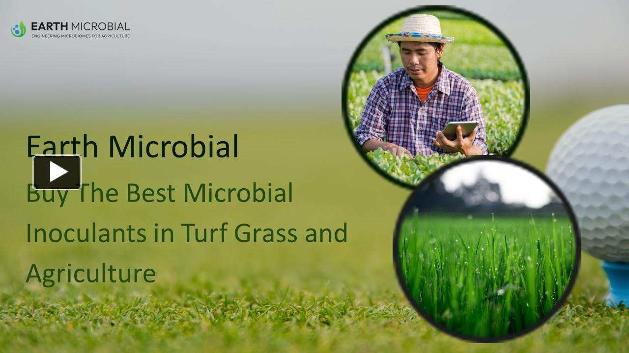 PPT – Buy The Best Microbial Inoculants in Turf grass and Agriculture ...