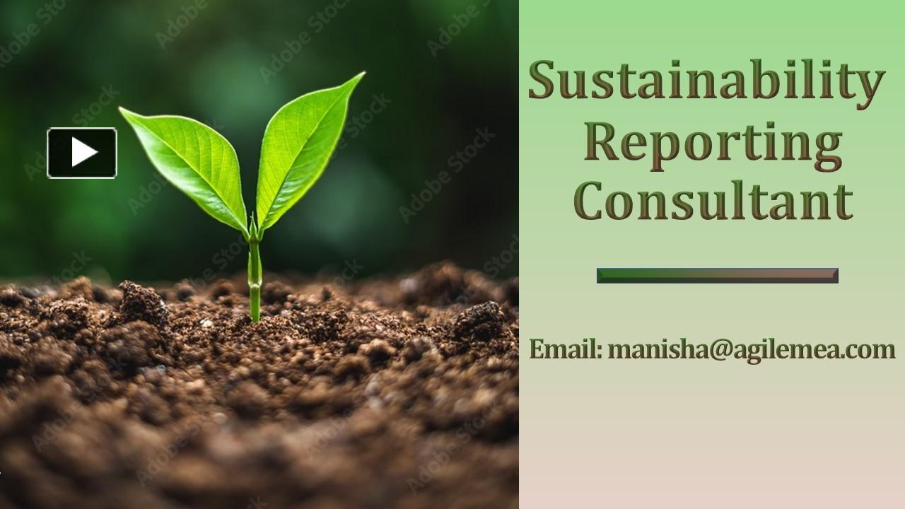 Ppt Work Performed By Sustainability Reporting Consultant Powerpoint