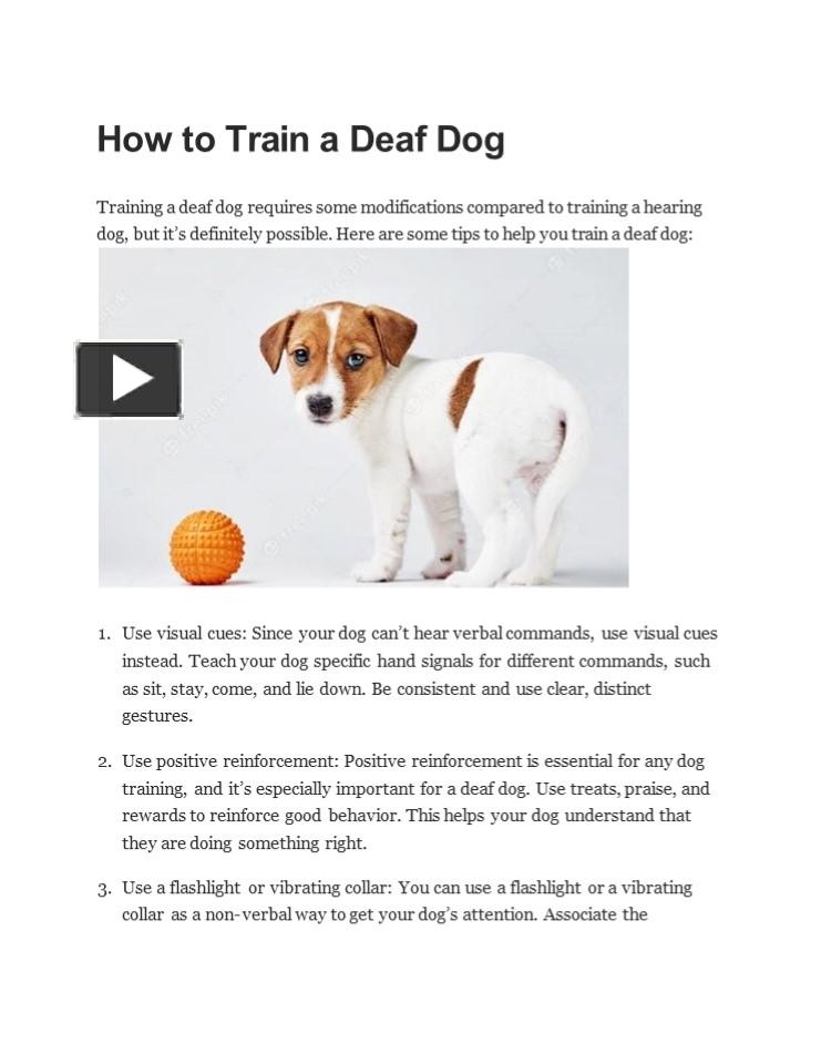 PPT – How to Train a Deaf Dog PowerPoint presentation | free to ...