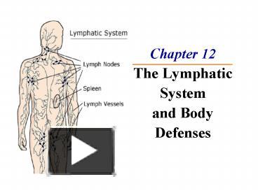 Chapter 12 The Lymphatic System and Body Defenses presentation | free ...