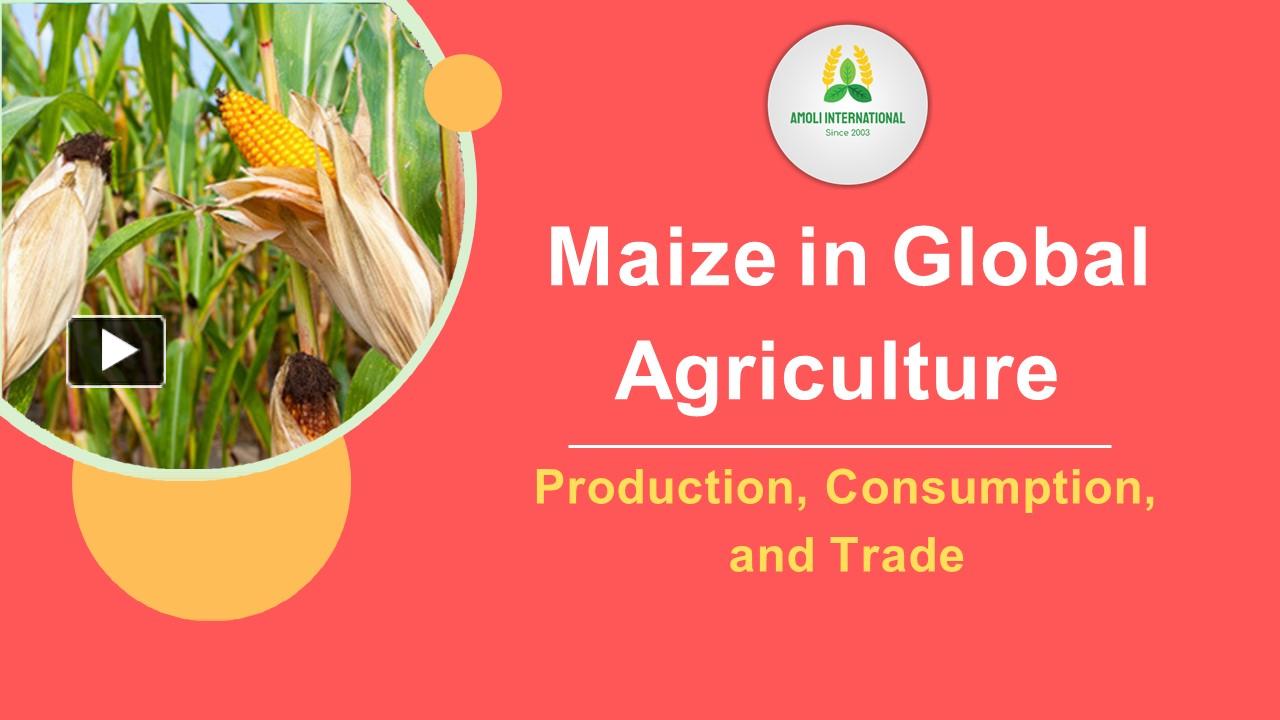 Maize in Global Agriculture : Production, Consumption,and Trade ...