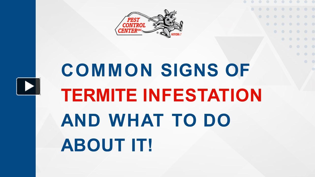 Common Signs of Termite Infestation and What to Do About It ...