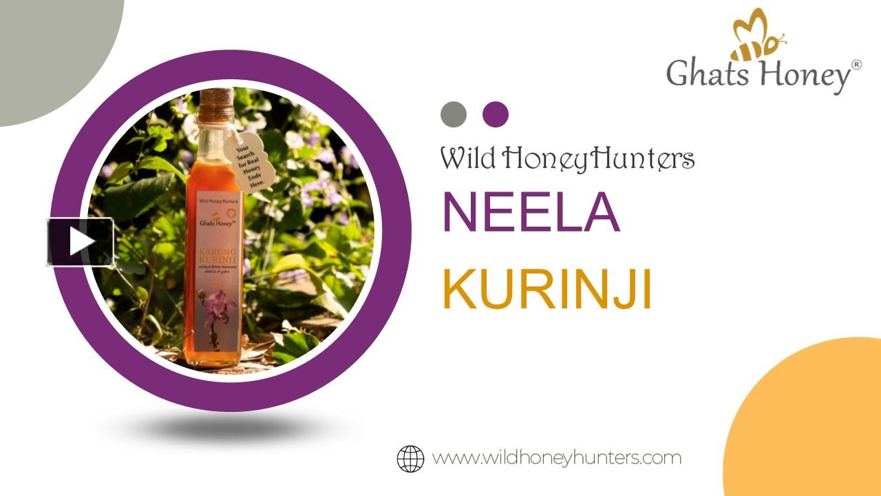 The Nee la kurinji flowers and The Kurinji honey from Wild honey ...