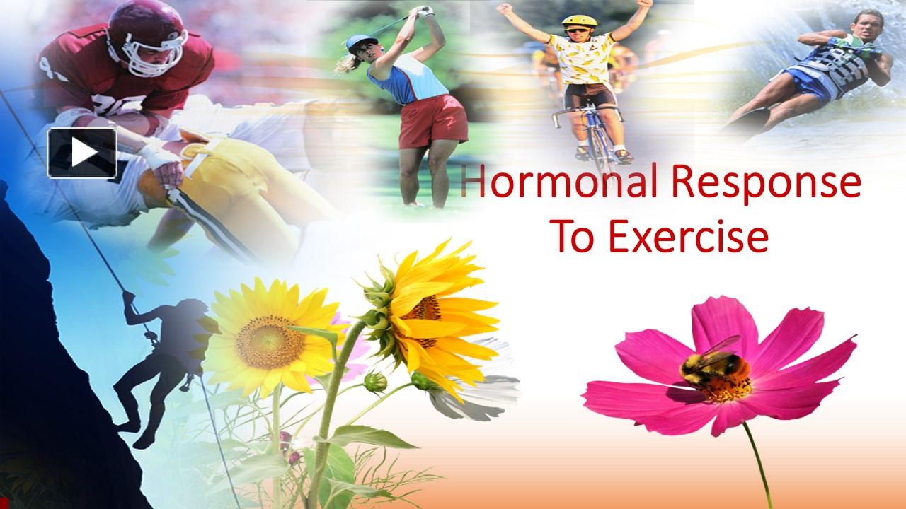 PPT – Hormonal Response to Exercise PowerPoint presentation | free to ...