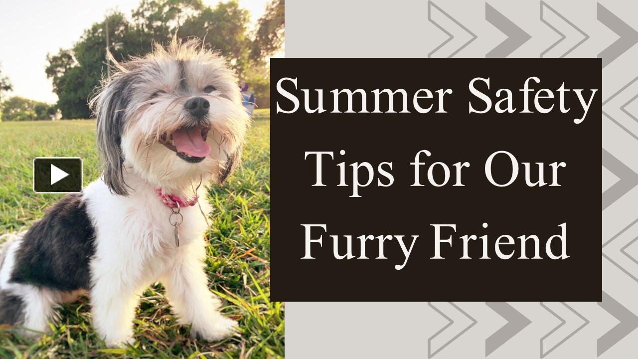Summer Safety Tips for Our Furry Friend presentation | free to download