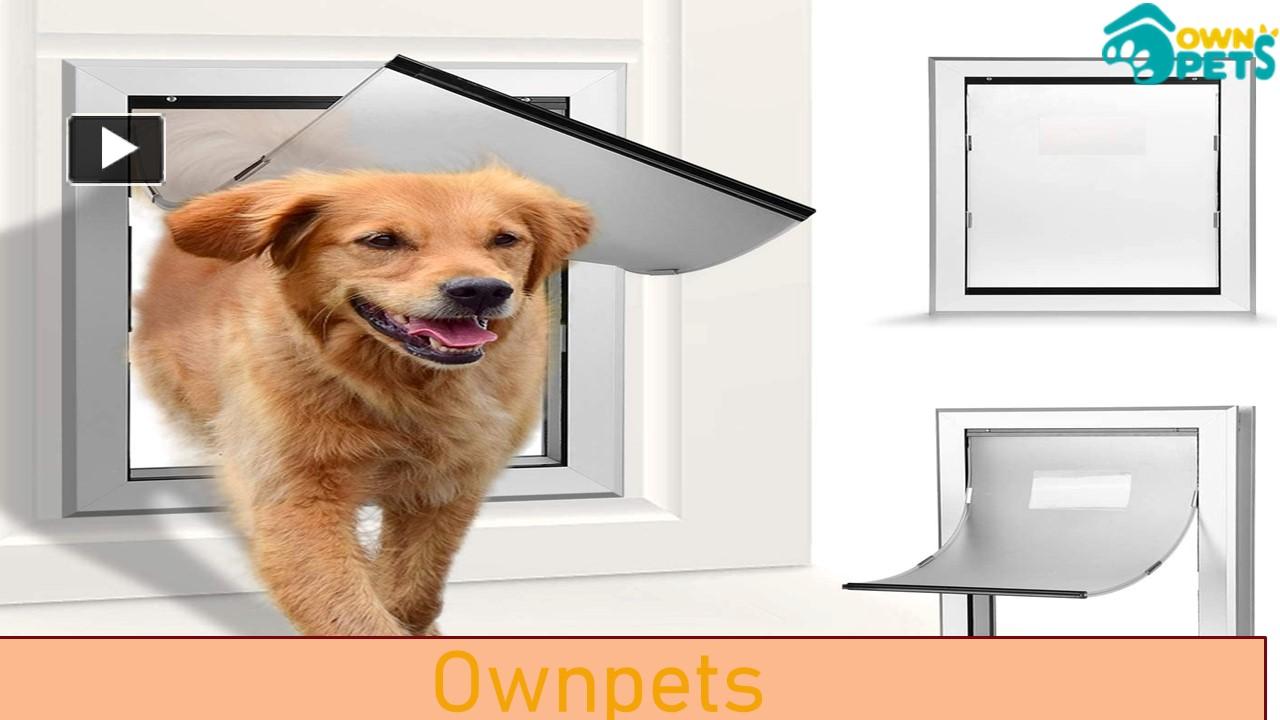 PPT – Creating Convenience: The Benefits of an Extra Large Dog Door for ...