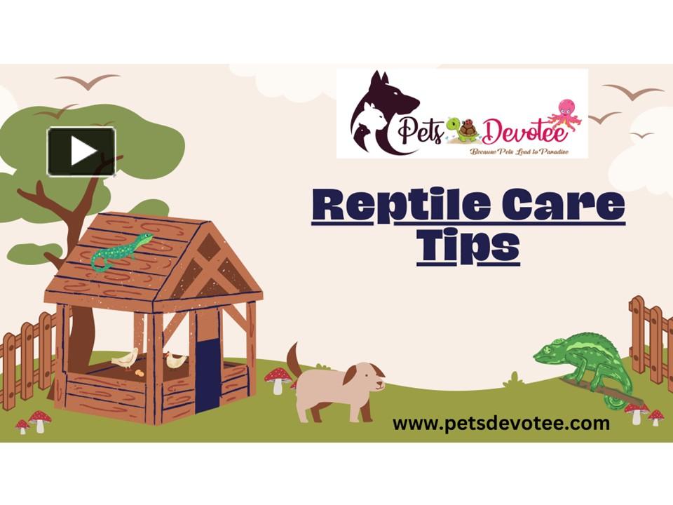 PPT – Providing the perfect environment and proper care PowerPoint ...