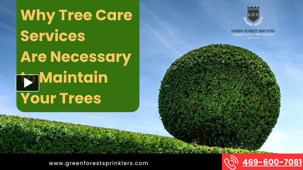 PPT – Why Tree Care Services Are Necessary to Maintain Your Trees ...