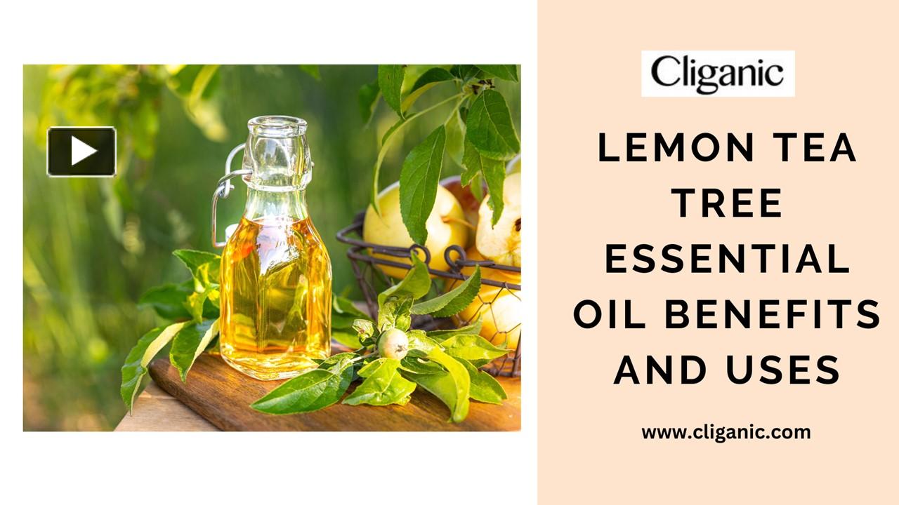 PPT – Lemon Tea Tree Essential Oil Benefits and Uses PowerPoint ...