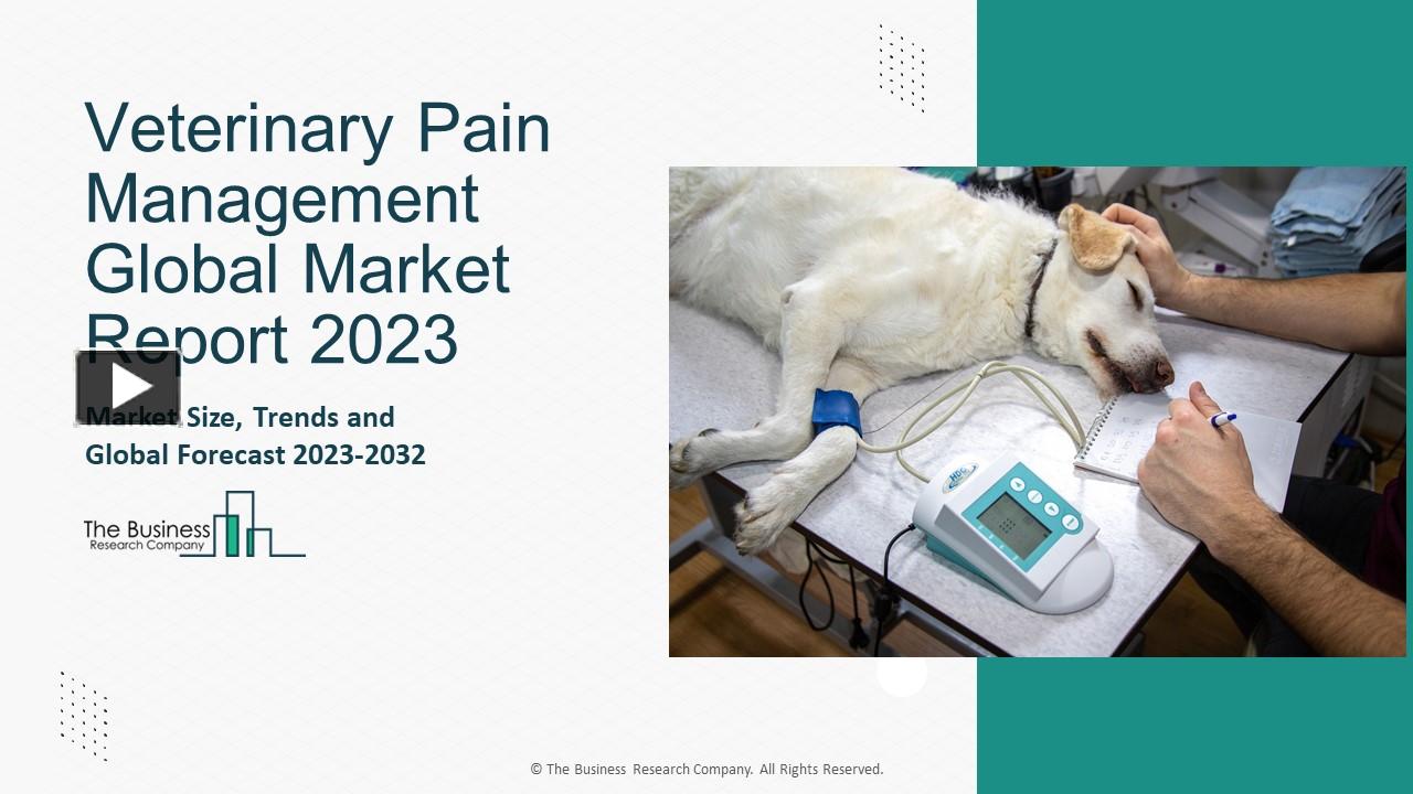 Veterinary Pain Management Market Demand, Business Opportunities And ...