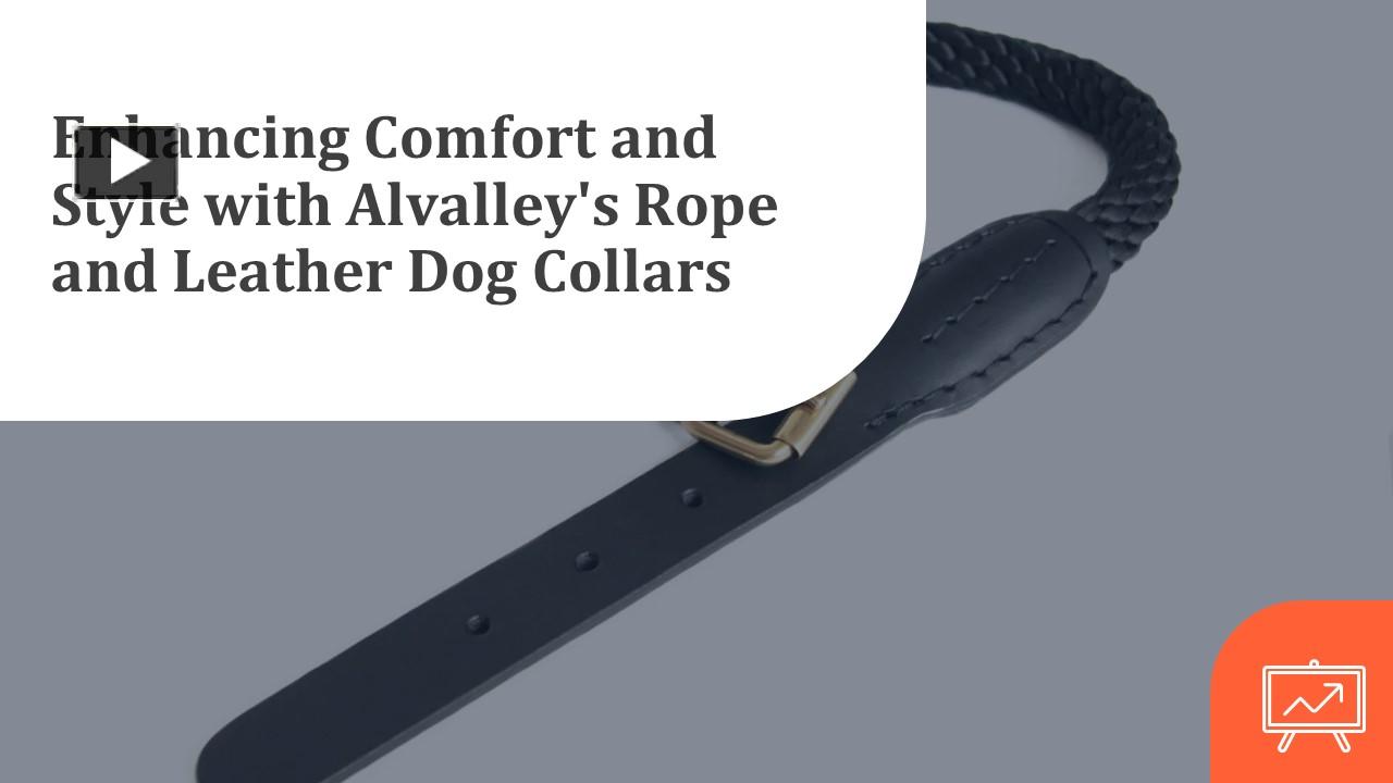 PPT – Enhancing Comfort and Style with Alvalley's Rope and Leather Dog ...