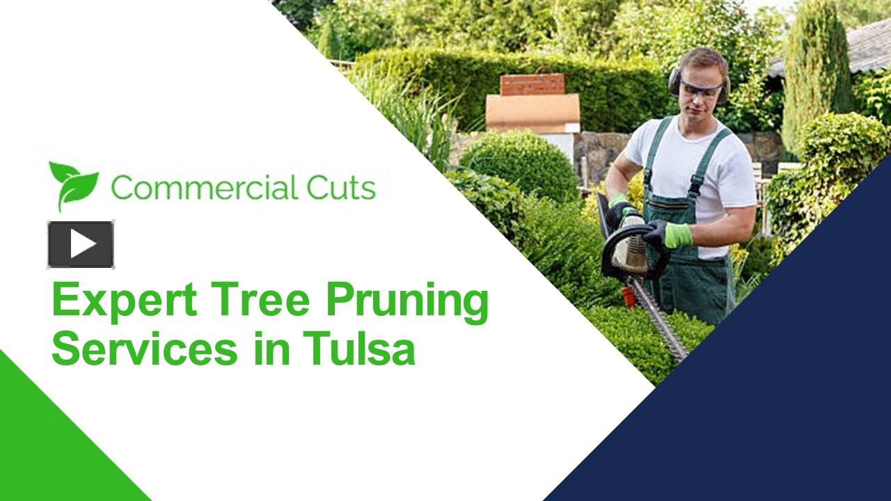 PPT – Expert Tree Pruning Services in Tusla PowerPoint presentation ...