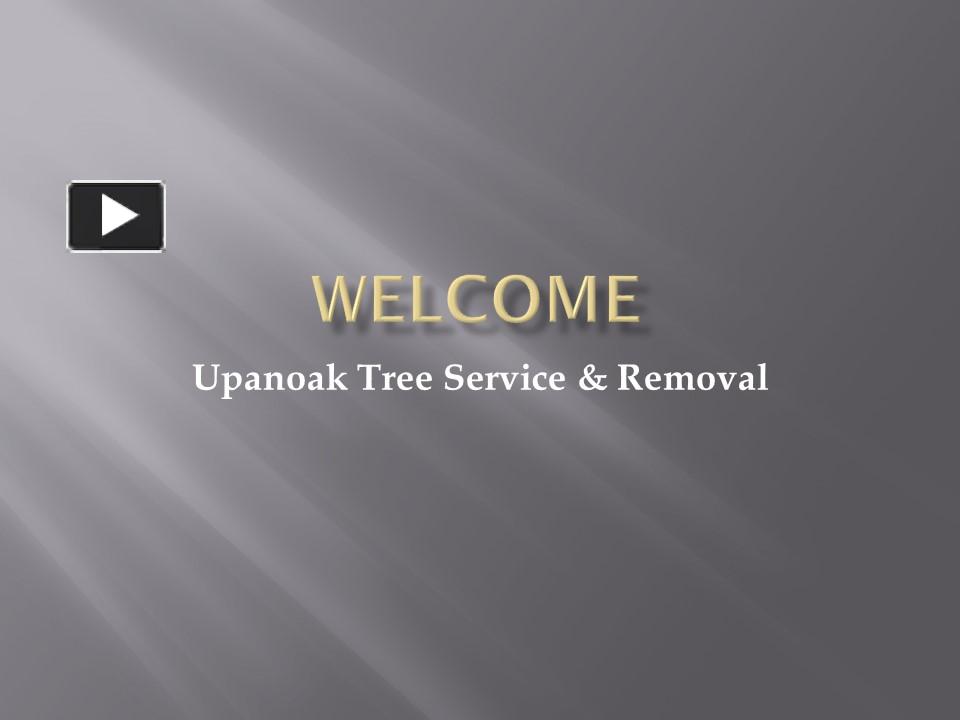 PPT – Best Tree Pruning in The Junction PowerPoint presentation | free ...