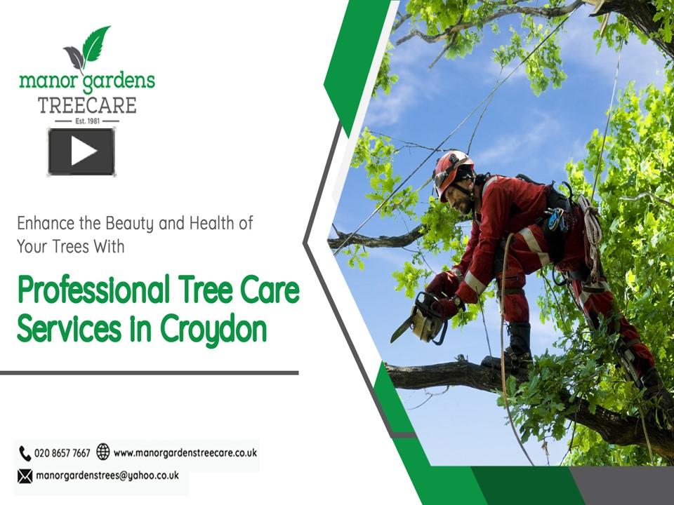 Enhance the Beauty and Health of Your Trees With Professional Tree Care ...