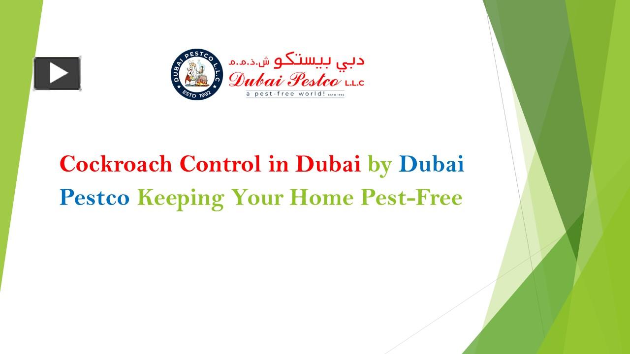 PPT – Cockroach Control in Dubai by Dubai Pestco: Keeping Your Home ...