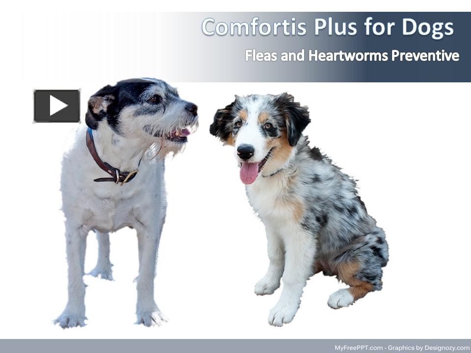 Comfortis Plus Flea, heartworm and worming Tablets For Dogs ...