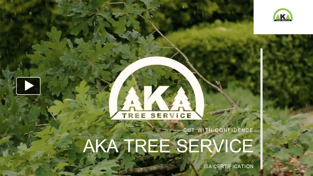 Expert Tree Service in Athens, GA - AKA Tree Services presentation ...