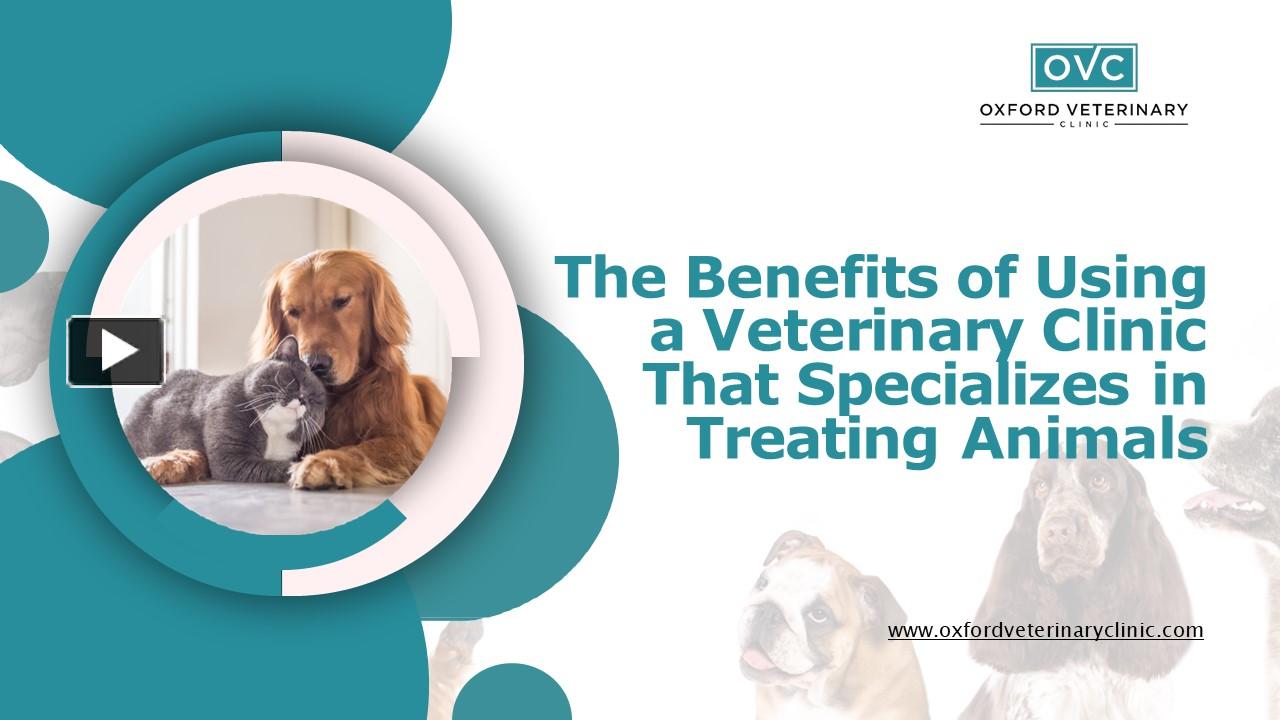 PPT – The Benefits of Using a Veterinary Clinic PowerPoint presentation ...