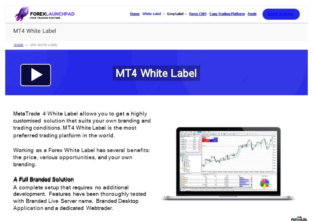 Mt4 White Label Solution presentation | free to download