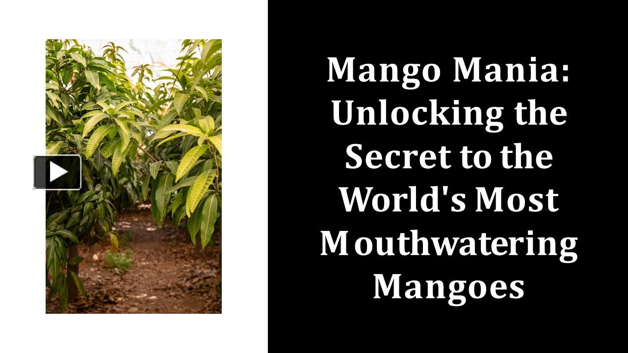 PPT – Mango Mania: Unlocking the Secret to the World's Most ...
