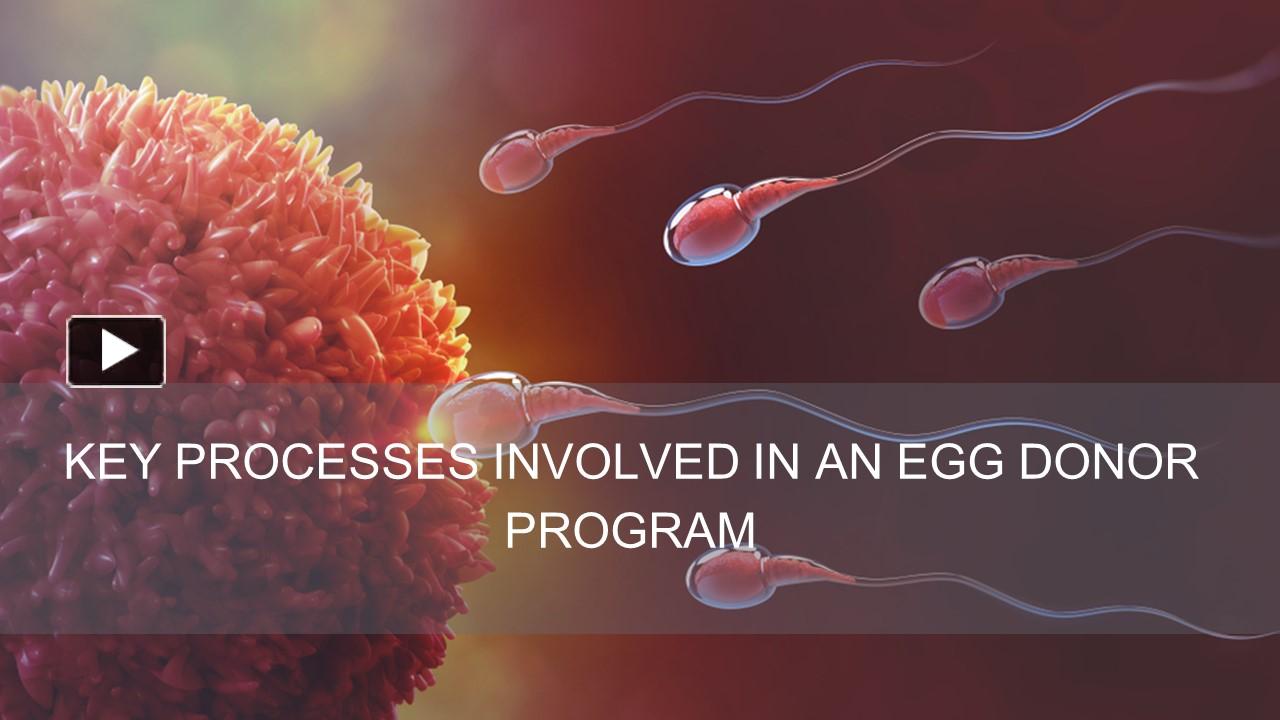 PPT – Key Processes Involved In An Egg Donor Program PowerPoint ...