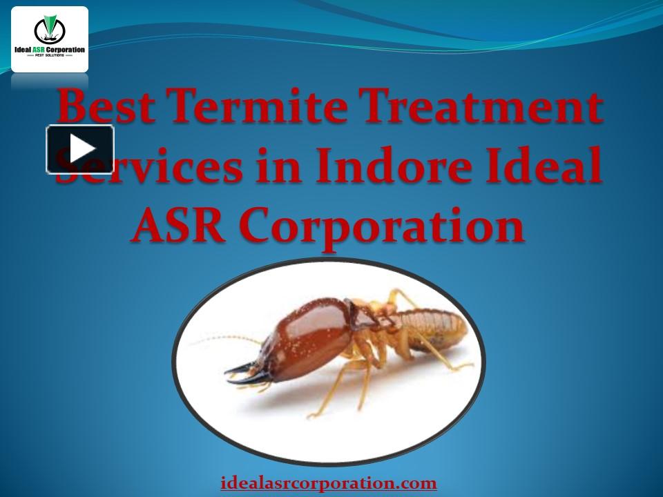 Best Termite Treatment Services in Indore | Ideal ASR Corporation ...