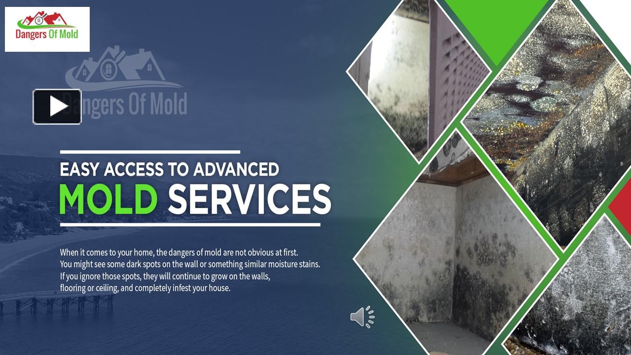 PPT – Mold Test Company | Get Best Mold Testing Services PowerPoint ...