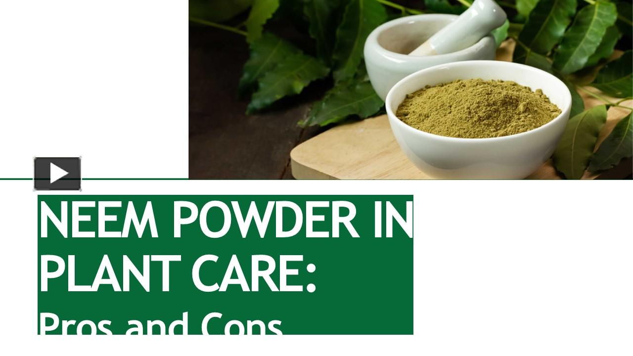 PPT – Exploring Neem Powder As A Plant Care Miracle: Benefits ...