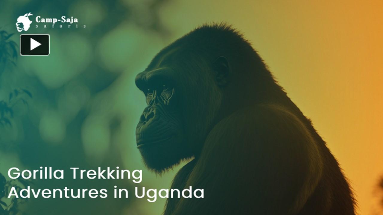 PPT – Revealing Uganda's Secret Wildlife Treasures: 5 Hidden Reserves ...