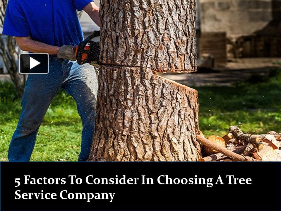 5 Factors To Consider In Choosing A Tree Service Company presentation ...