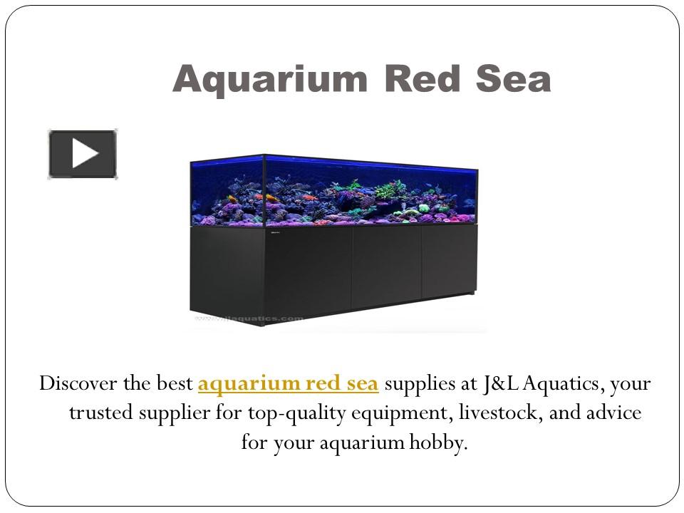 PPT – Aquarium Red Sea PowerPoint presentation | free to download - id ...