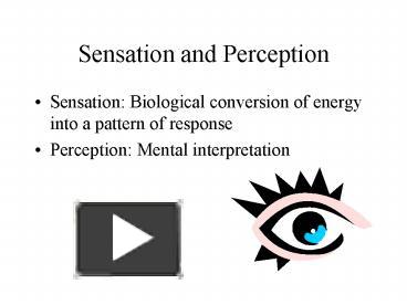 PPT – Sensation and Perception PowerPoint presentation | free to view ...