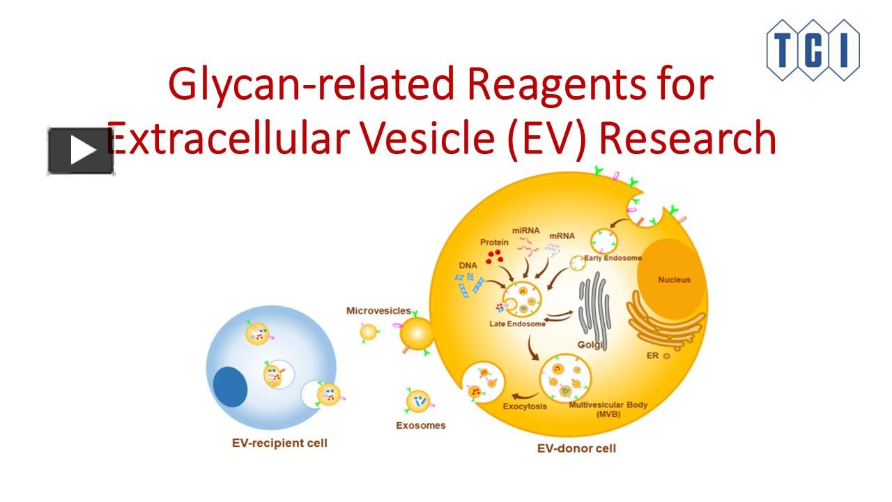 Glycan-related Reagents for Extracellular Vesicles (EVs) Research ...