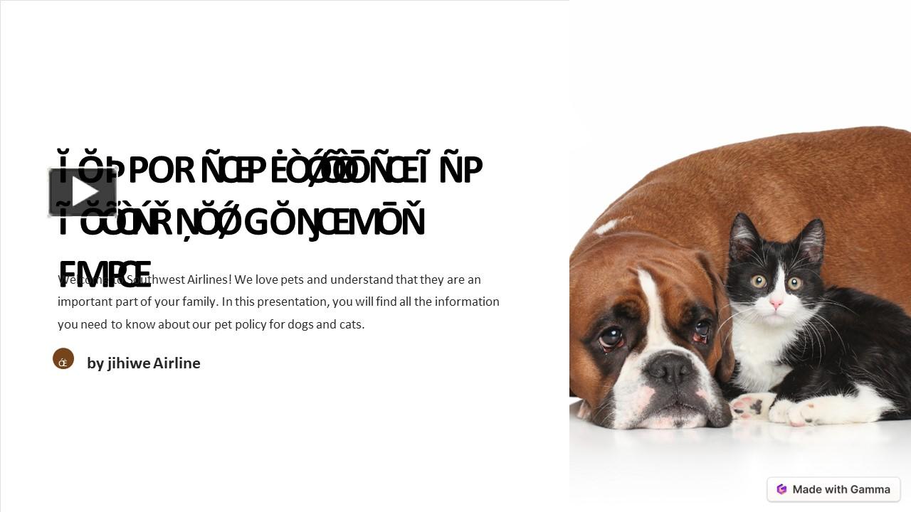 PPT – Southwest Airline Pet Policy PowerPoint presentation | free to ...