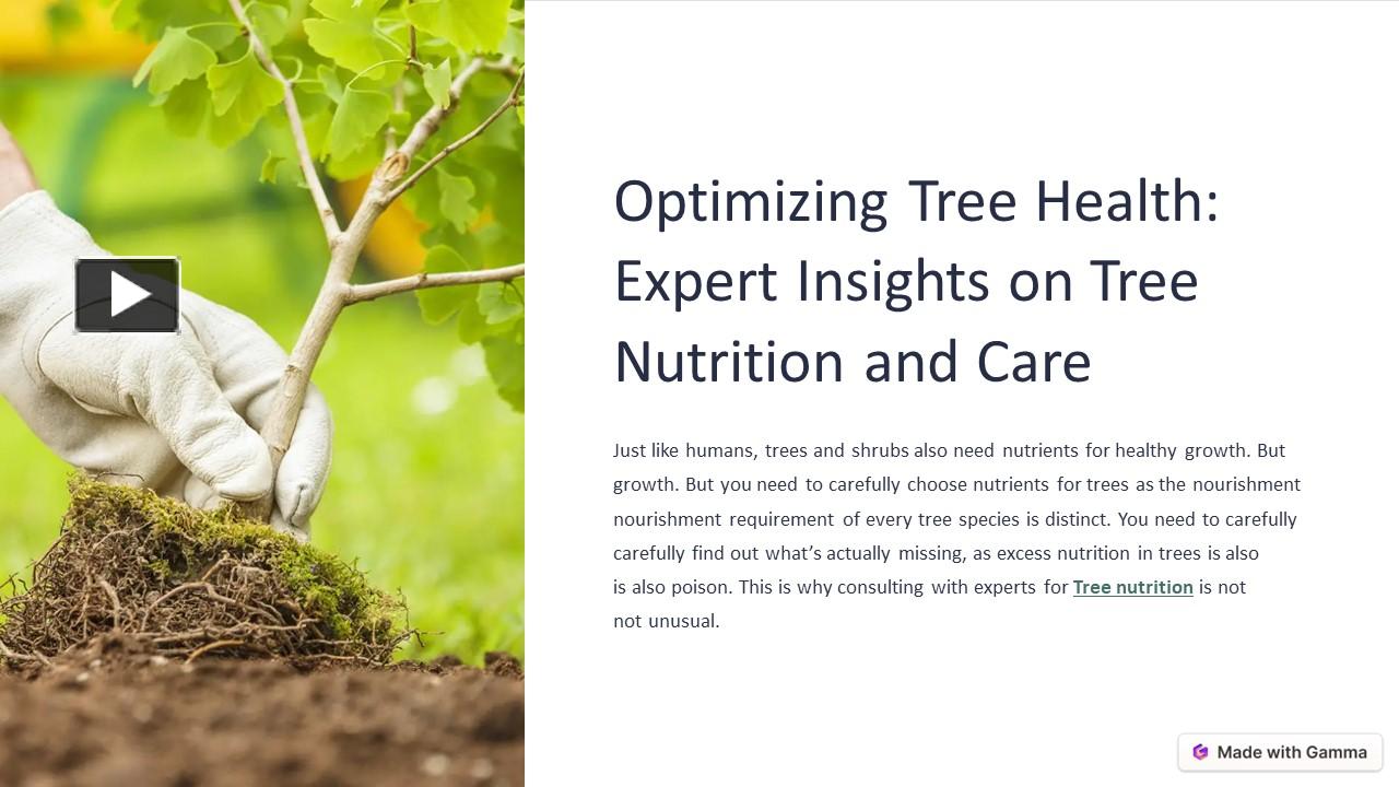 PPT – Optimizing Tree Health: Expert Insights on Tree Nutrition and ...