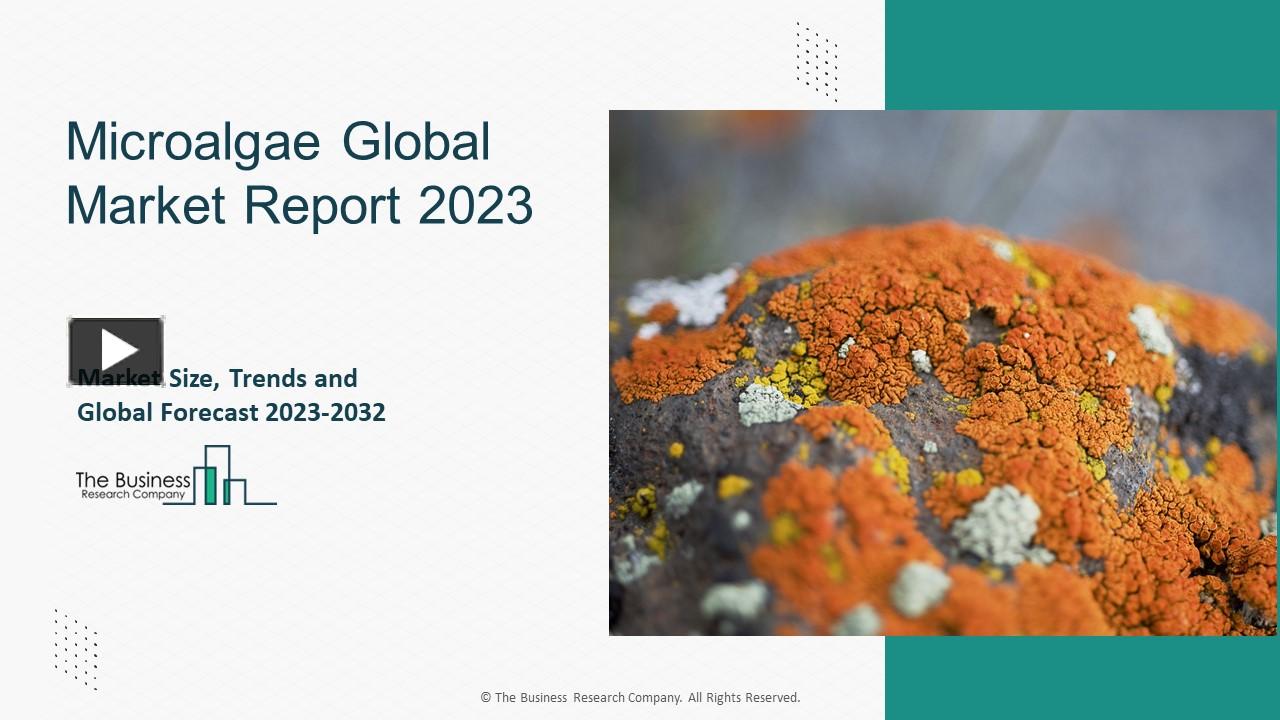 Global Microalgae Market Overview – Market Growth Analysis And Key ...