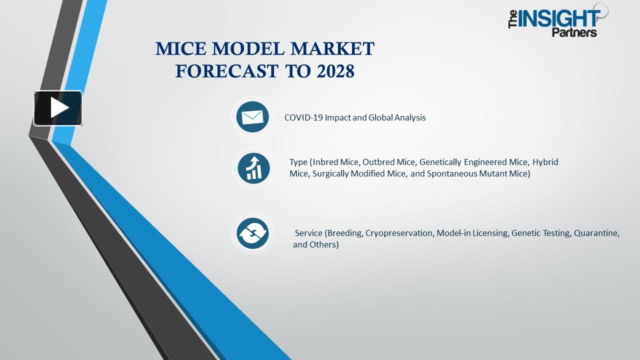 PPT – Mice Model Market PowerPoint presentation | free to download - id ...