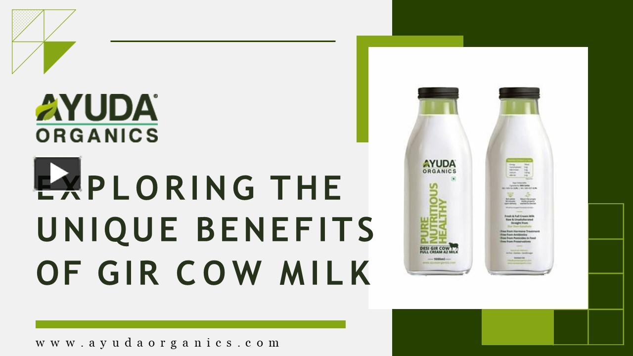 PPT – Exploring the Unique Benefits of Gir Cow Milk PowerPoint ...