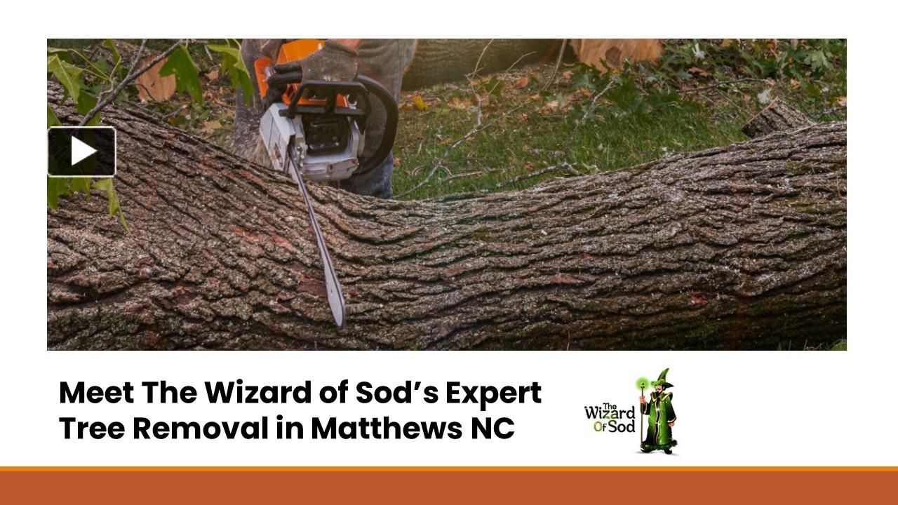 PPT – Meet The Wizard of Sod’s Expert Tree Removal in Matthews NC ...