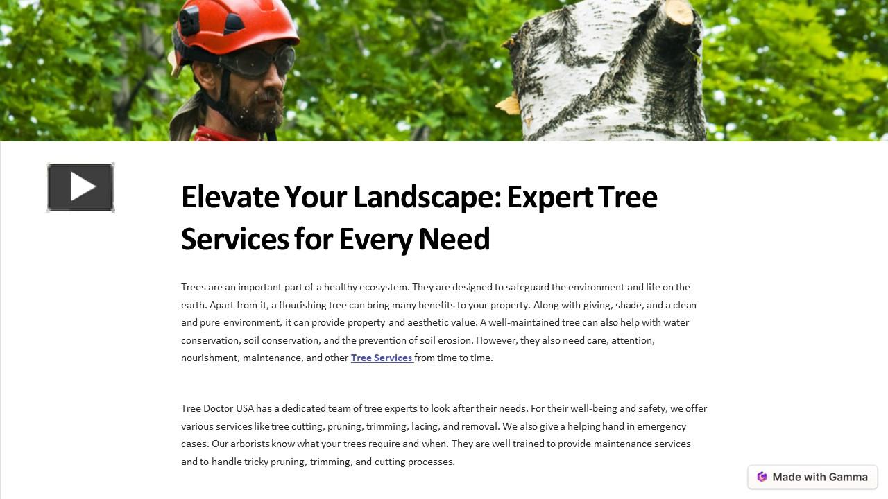 Elevate Your Landscape: Expert Tree Services for Every Need ...
