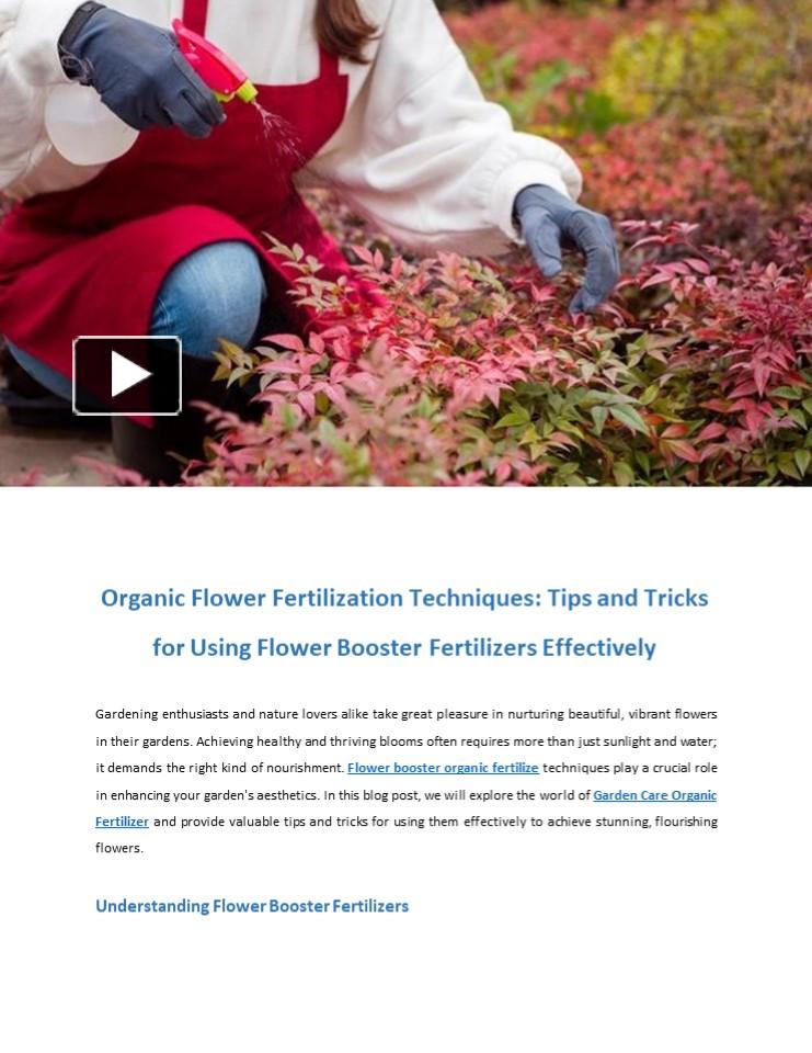 Organic Flower Fertilization Techniques: Tips and Tricks for Using ...