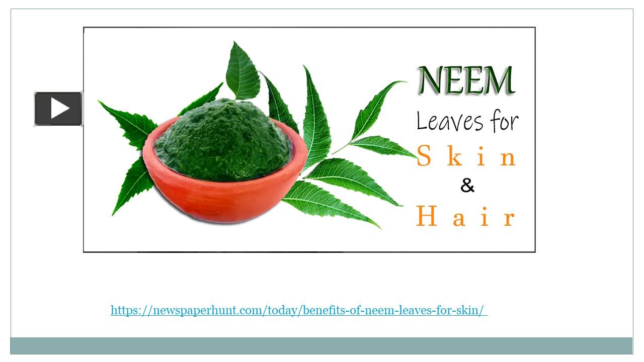 PPT – Benefits of Neem Leaves for Skin PowerPoint presentation | free ...