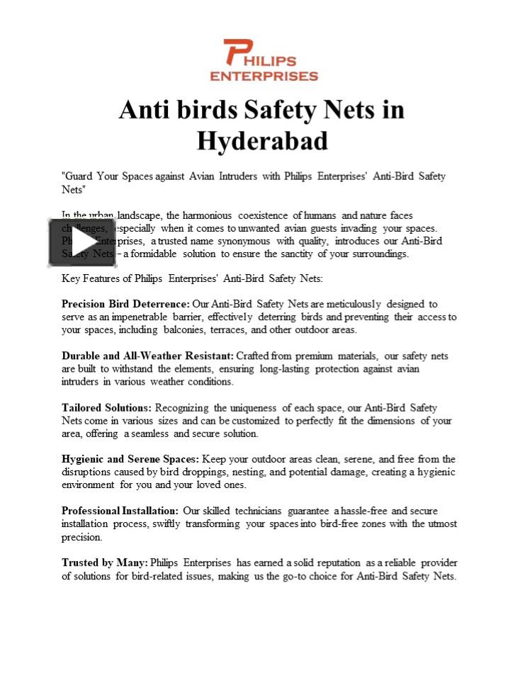PPT – Anti Birds PowerPoint presentation | free to download - id ...