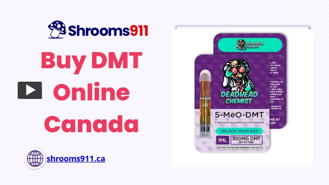 PPT – Buy DMT Online Canada - Shrooms911 DMT Products PowerPoint ...