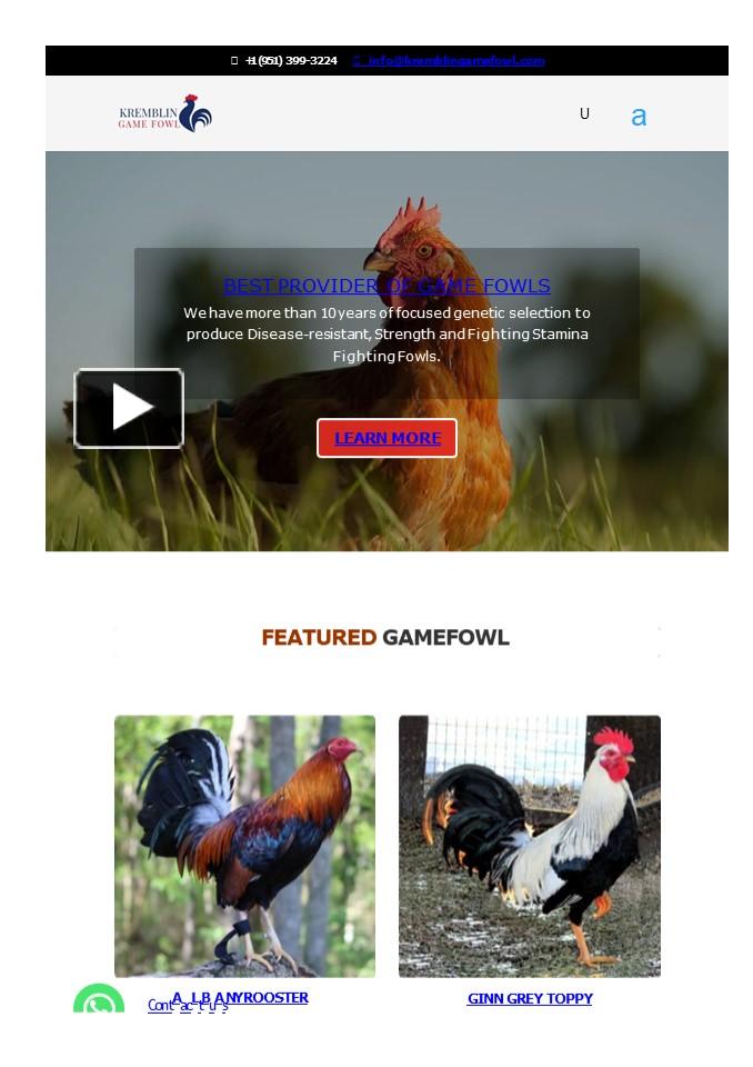 PPT – GAMEFOWL FOR SALE PowerPoint presentation | free to download - id ...