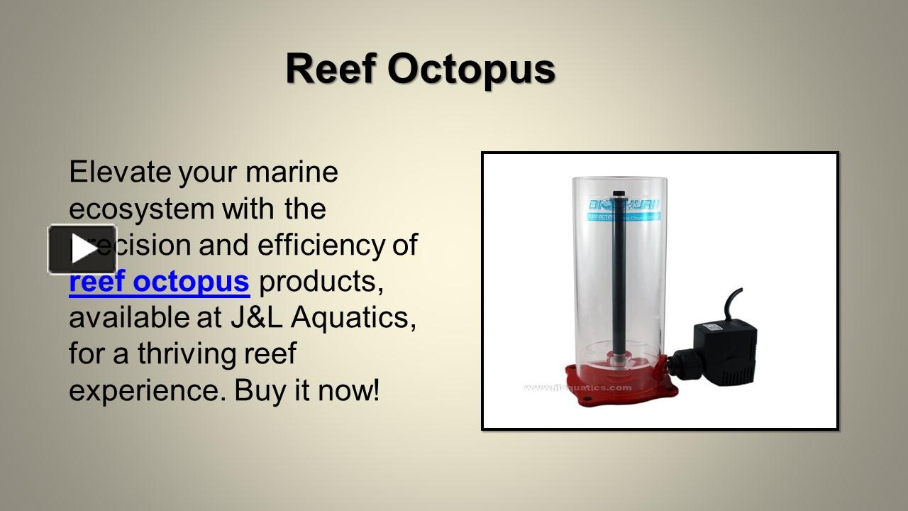 PPT – Reef Octopus PowerPoint presentation | free to download - id ...