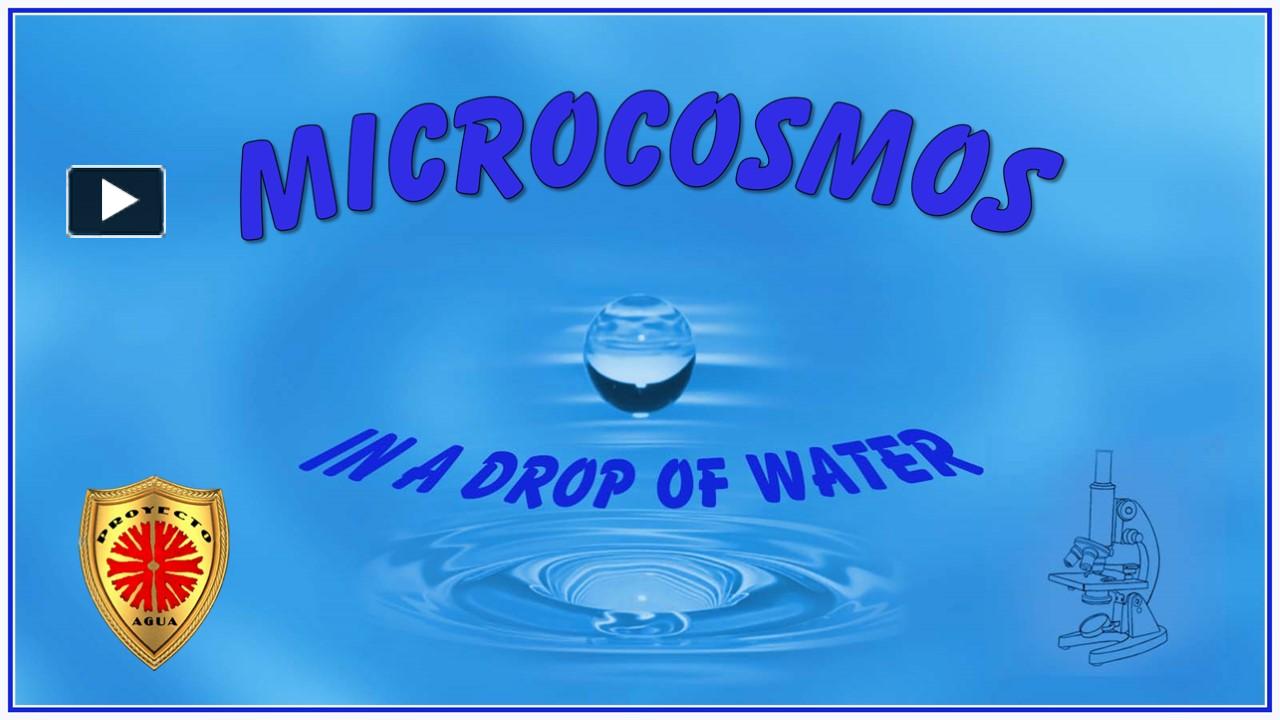 Microcosmos in a Drop of Water (Steve) presentation | free to view